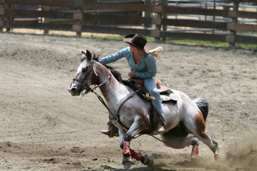 It's Fair and Rodeo Week! | Telluride.Net